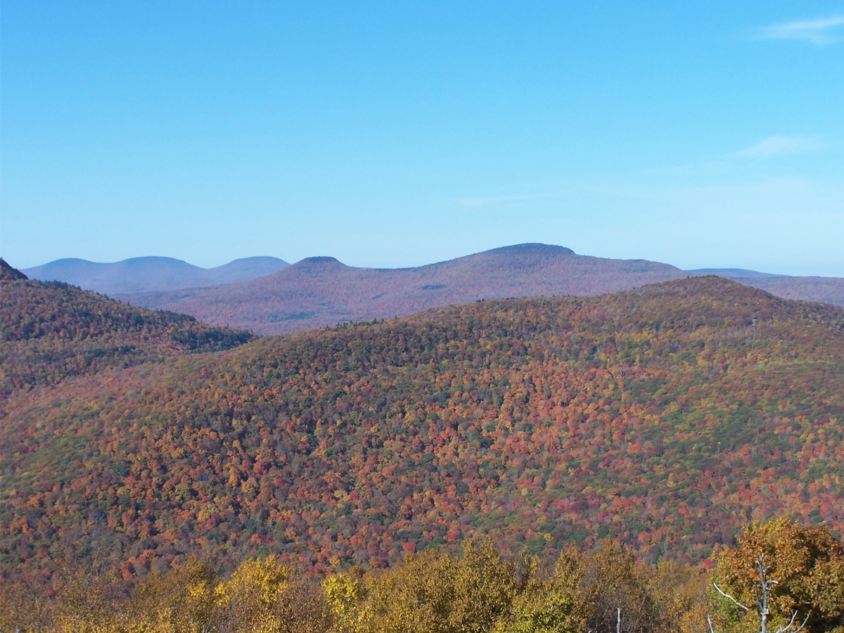 Catskill-Forest – New York State Climate Impacts Assessment
